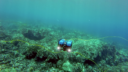 BlueROV2 - Affordable and Capable Underwater ROV