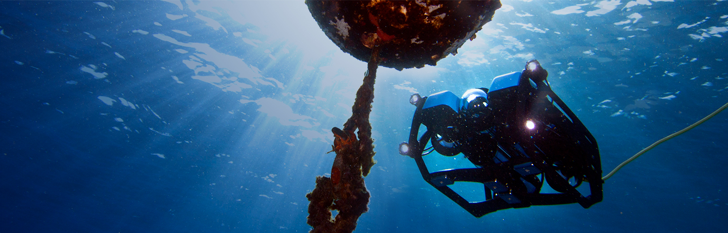 Blue Robotics - Underwater ROVs, Thrusters, Sonars, and Cameras