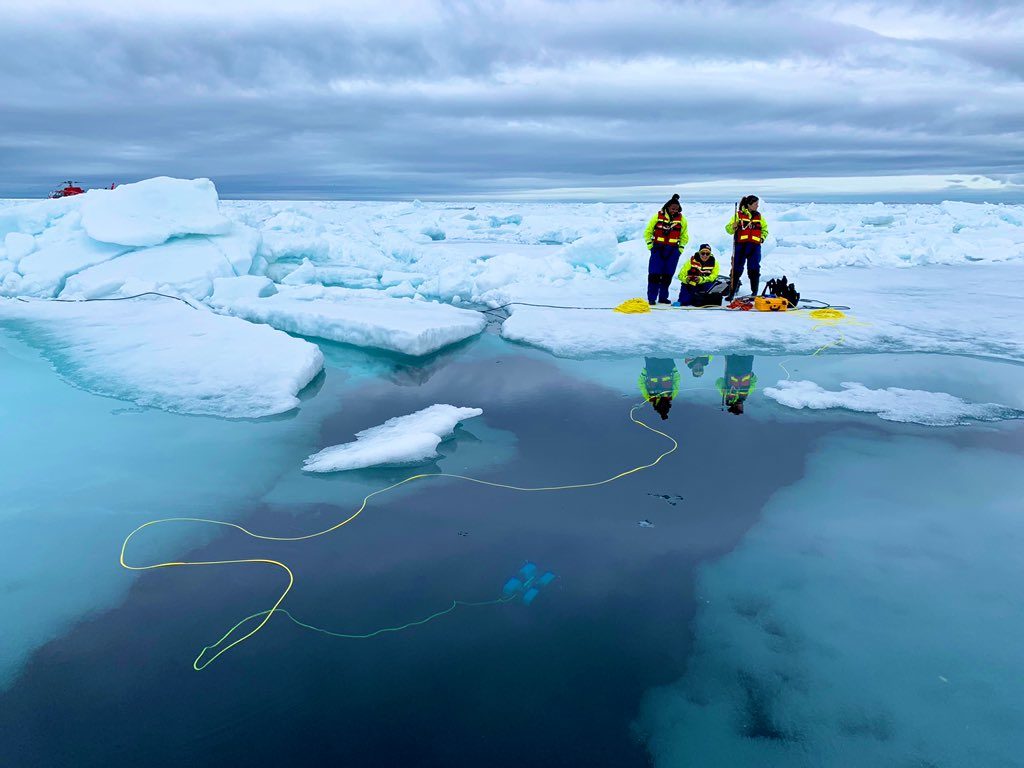 ROV Arctic Exploration - Blue Robotics BlueROV2