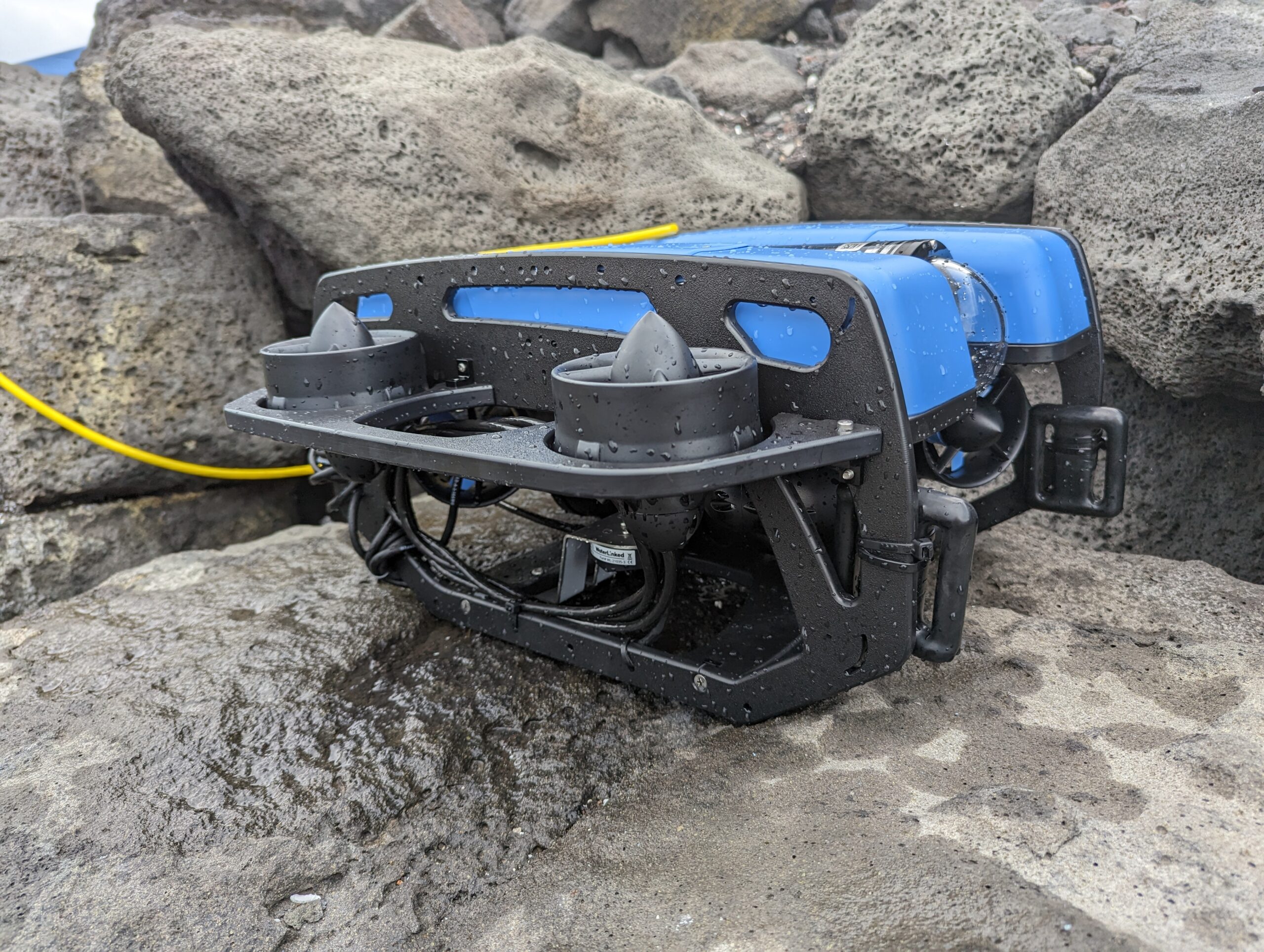 All The Reef - Blue Robotics