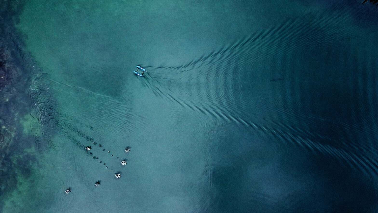 BlueBoat Uncrewed Surface Vessel - ROV Africa