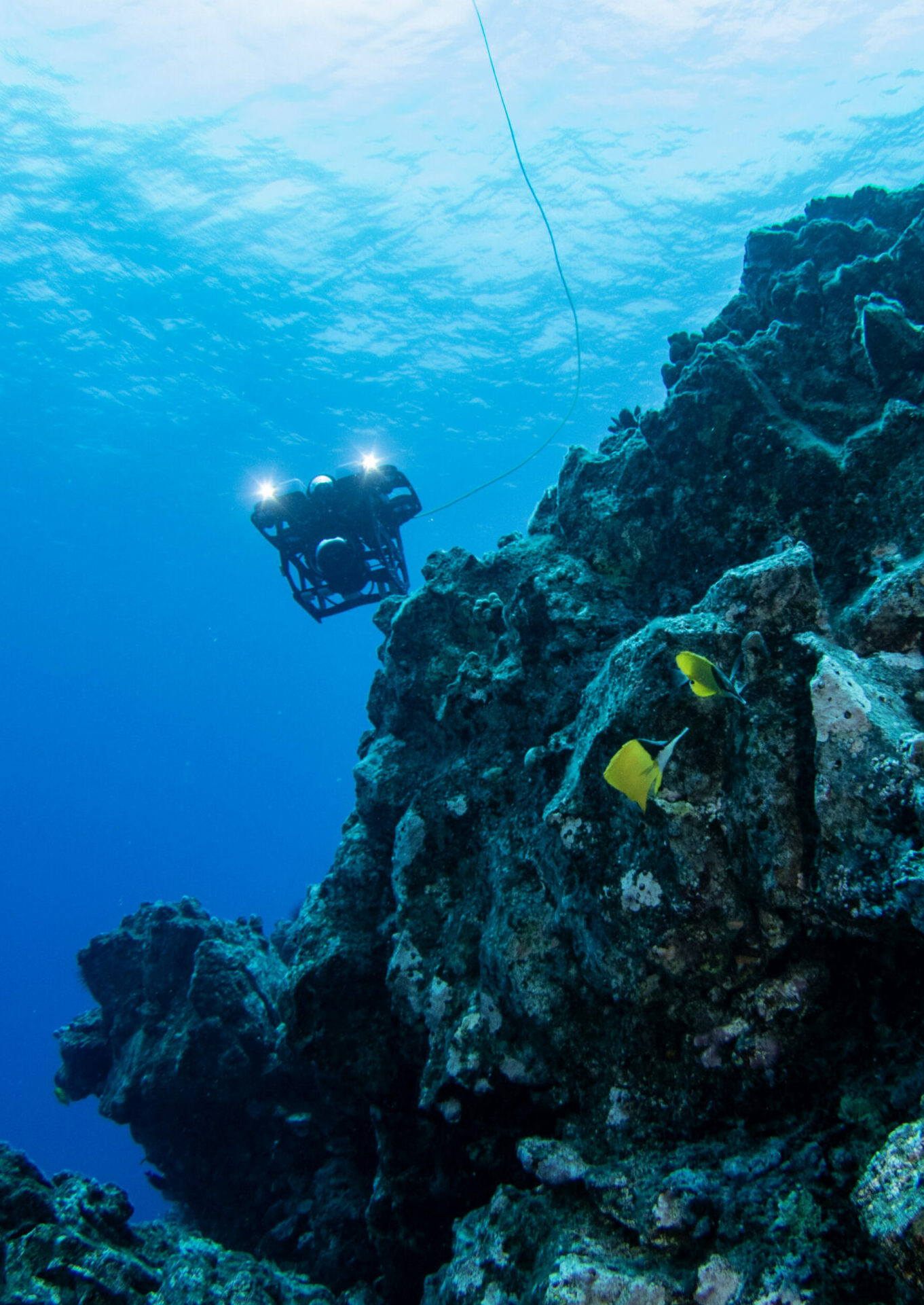 Blue Robotics - Underwater ROVs, Thrusters, Sonars, and Cameras
