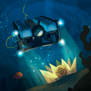 All BlueROV2 - Blue Robotics